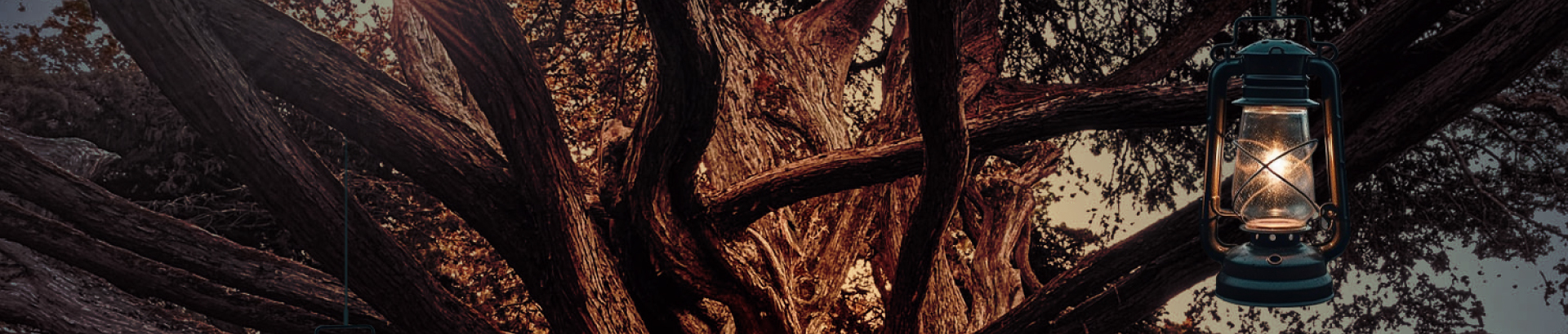 ATV :: Teatro Imersivo na Floresta "Aurora no Labirinto"